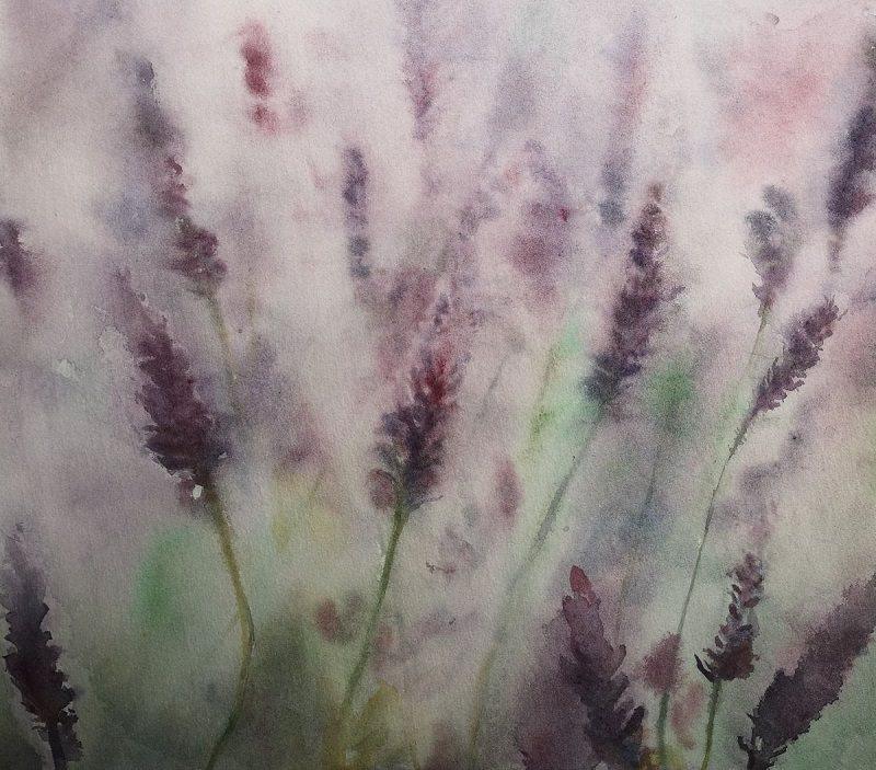 The Greystones Guide | Fading Beauties At Signal